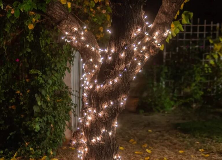 Decorar árboles de jardín con luces: ideas creativas para iluminar tu ...