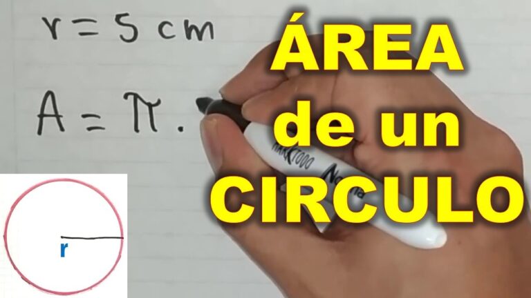 Cómo calcular el área de un jardín: Guía paso a paso para sacar medidas ...