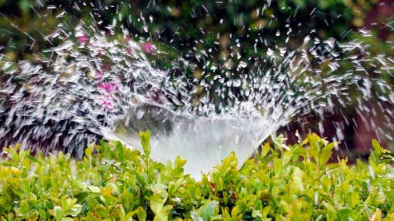 ¿Cuántos litros de agua se necesitan para regar un jardín? | Guía ...