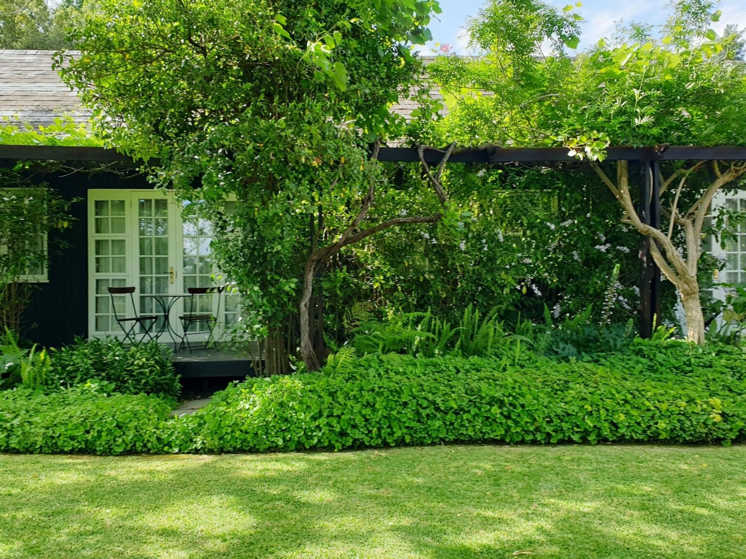 Cómo crear jardines con palos de bambú: ideas y consejos
