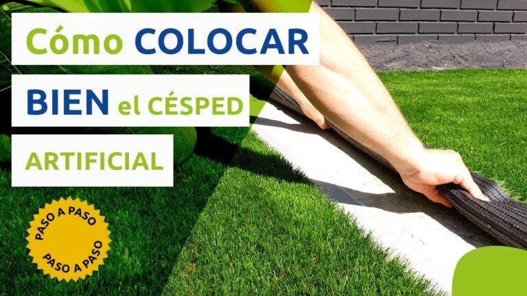 Los mejores tipos de pasto sintético para tu jardín: Guía completa