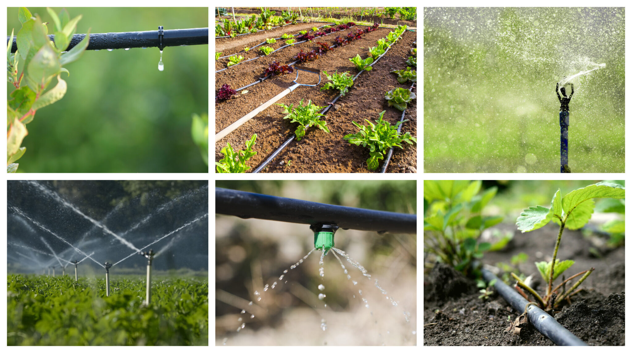 ¿Cuántos litros de agua se necesitan para regar un jardín? | Guía ...