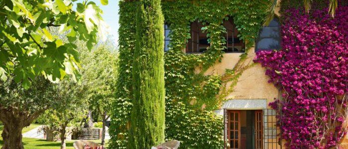 Guía completa de decoración de jardines con bugambilias: ideas y consejos