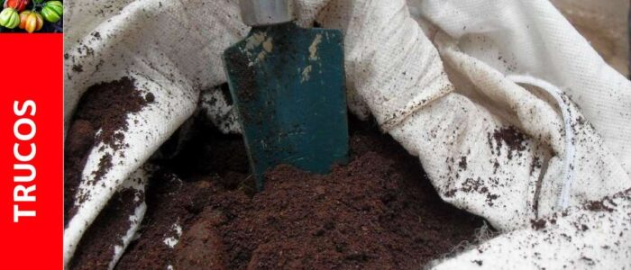 Guía completa sobre cómo utilizar aceite quemado en el jardín ...