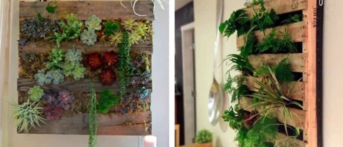 Jardín vertical con caños de PVC: Cómo crear un oasis verde en tu hogar